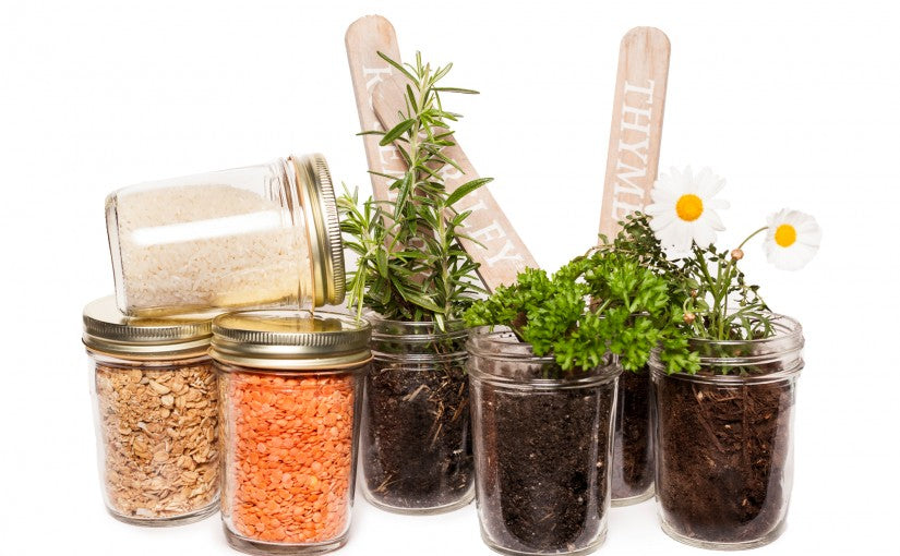 Use The Jars We Give You – The Mason Baker